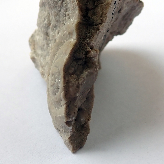 fossil-alma-devon-gas